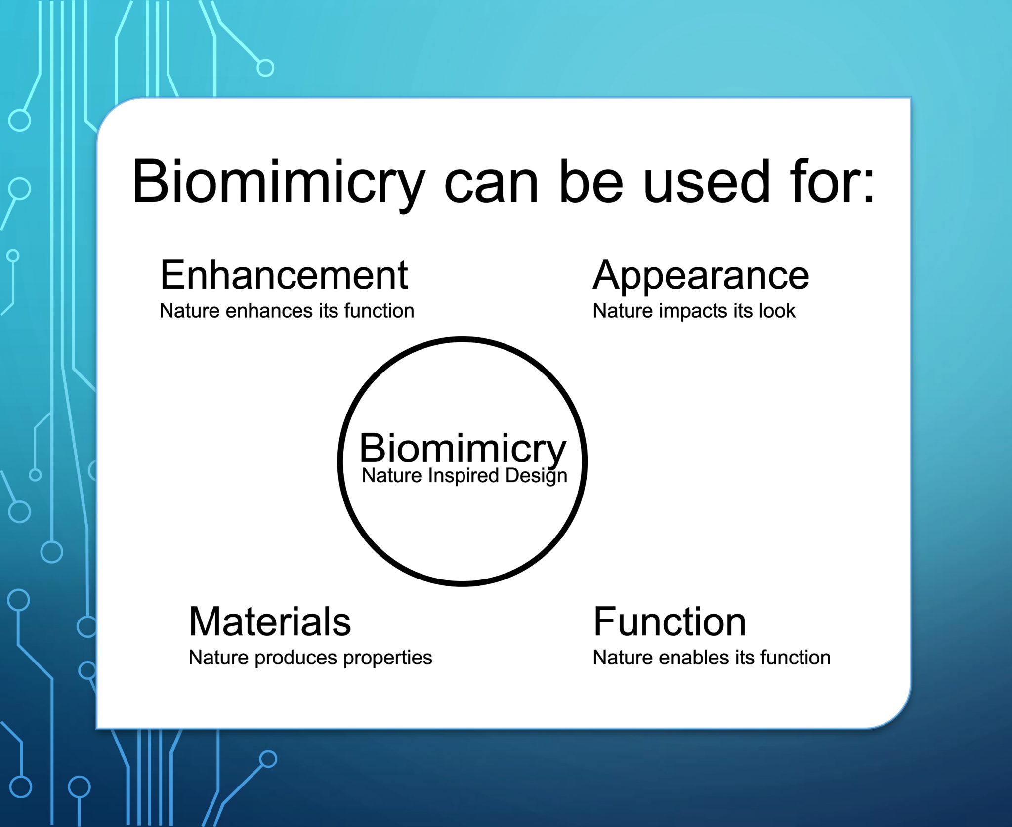 Biomimicry | Inspiration in Design